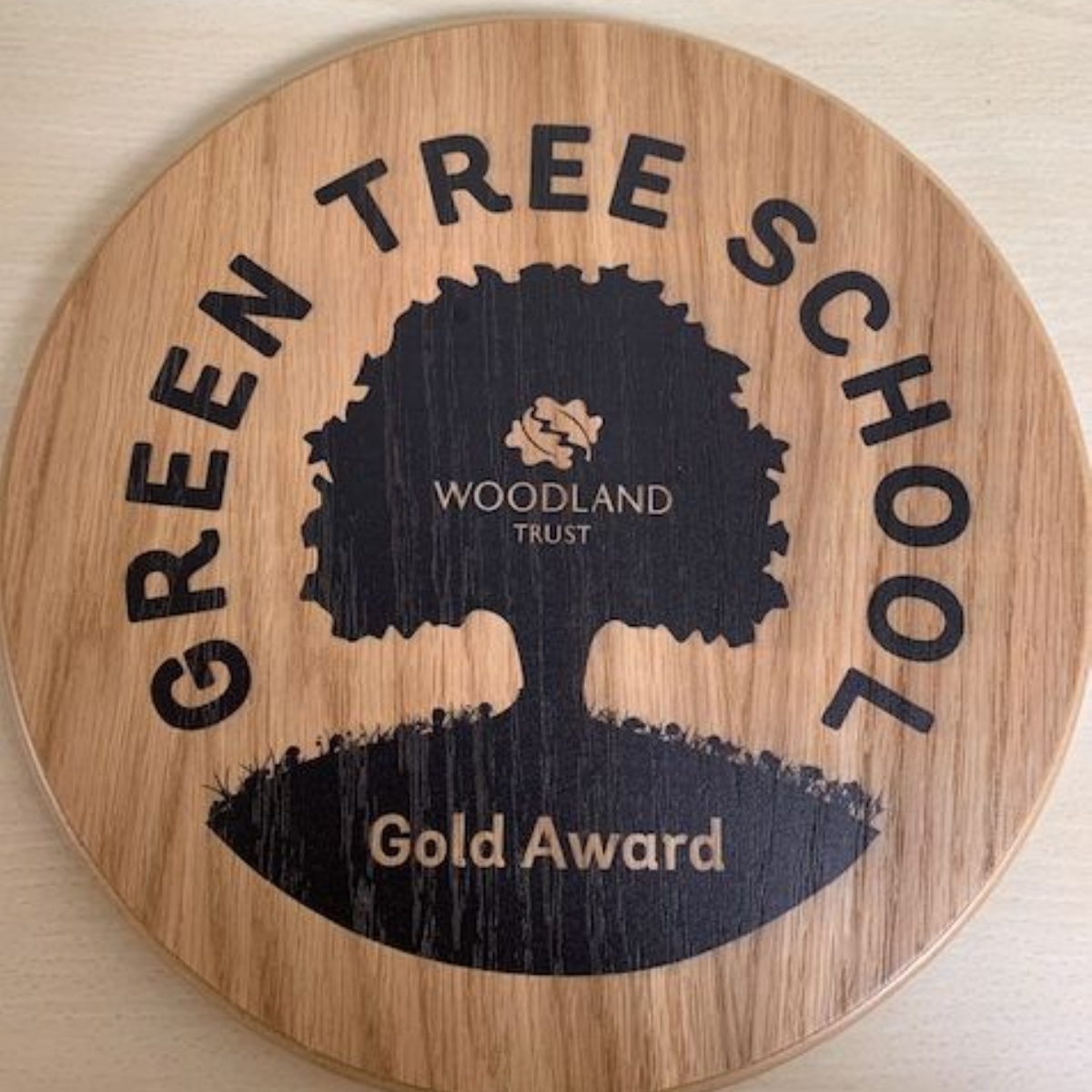 Hartsfield JMI School - Gold Award