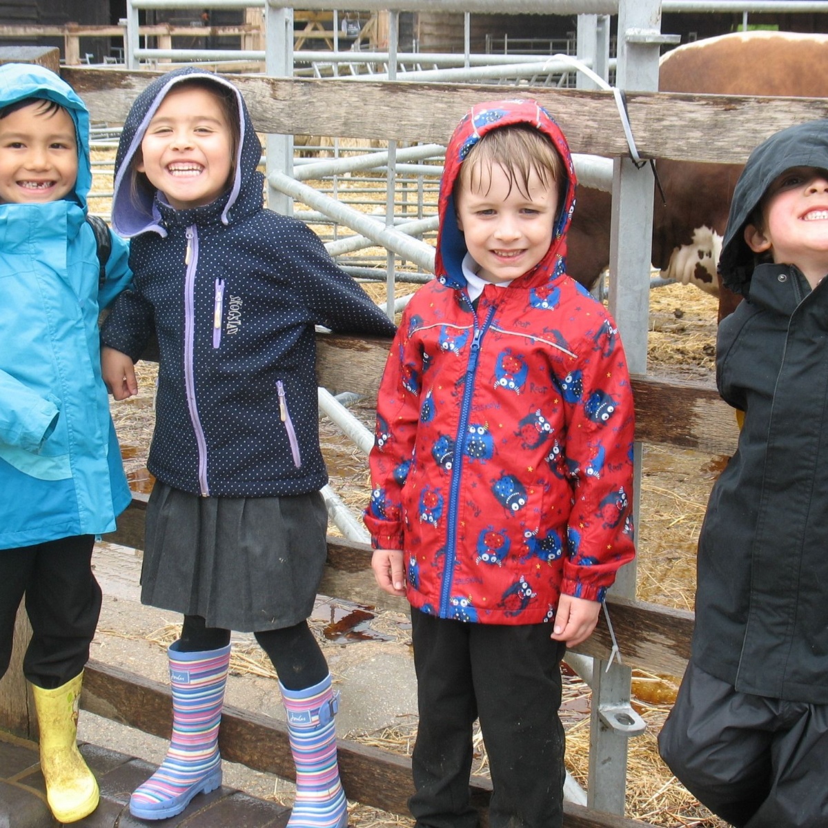 Hartsfield JMI School - Visit to Wimpole Home Farm